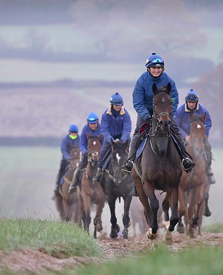 Joe Tizzard Racing | National Hunt Trainer | Venn Farm Racing ...