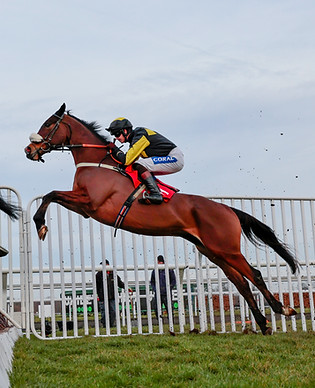 Joe Tizzard Racing | National Hunt Trainer | Venn Farm Racing ...