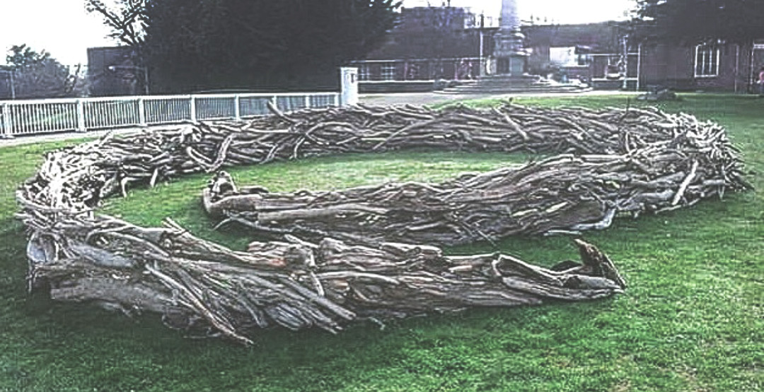 Installations | Martin Cole