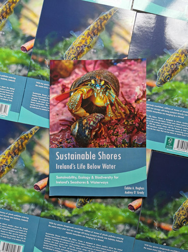 Sustainable Shores: Ireland's Life Below Water The Book | Sustainable ...
