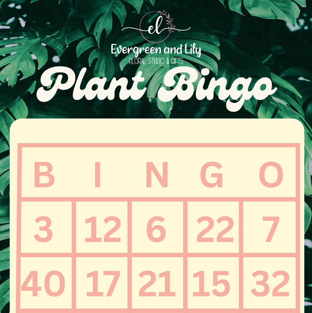 PLANT BINGO | Evergreen and Lily