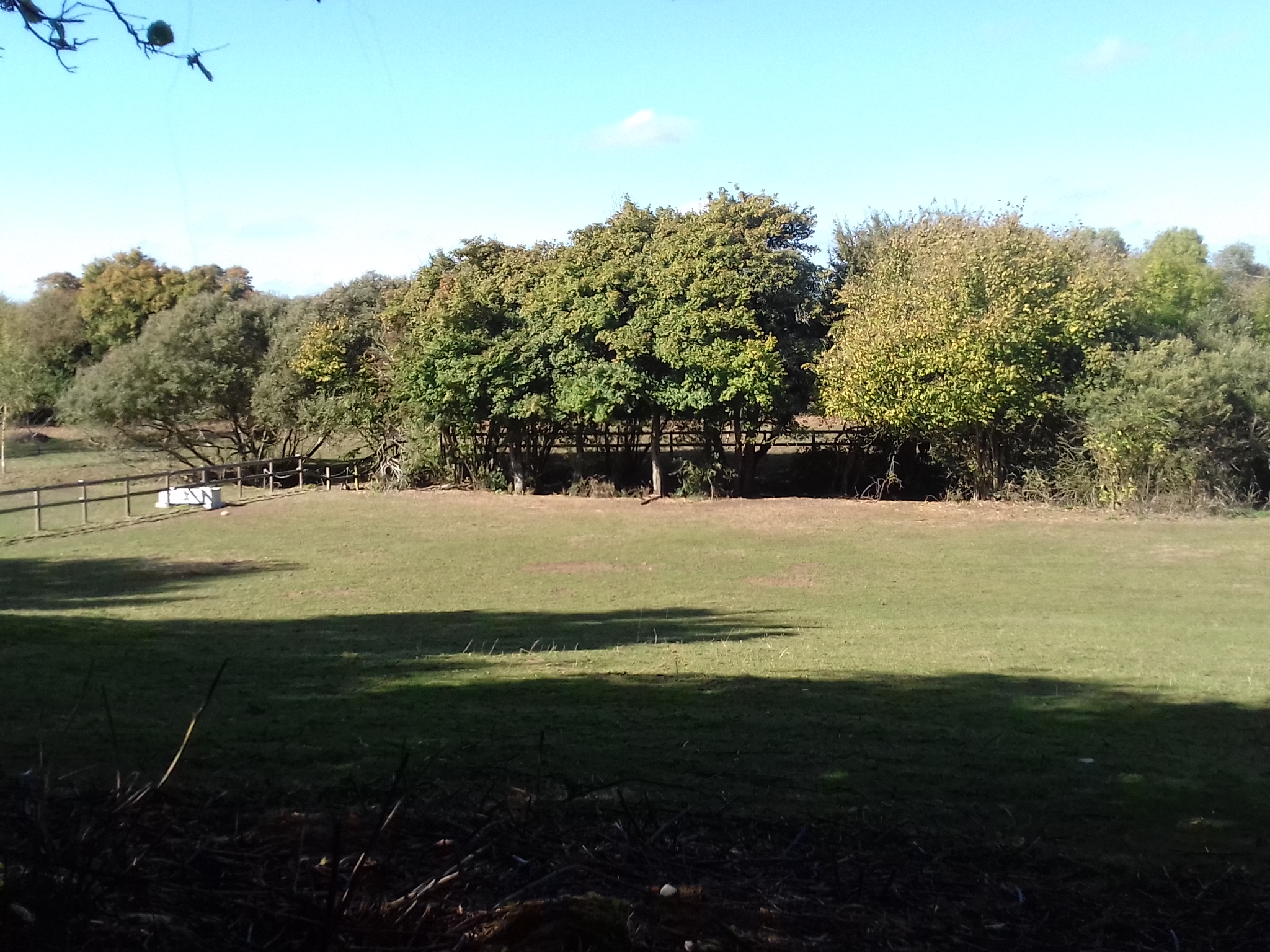 Kingsby Farm Livery Yard