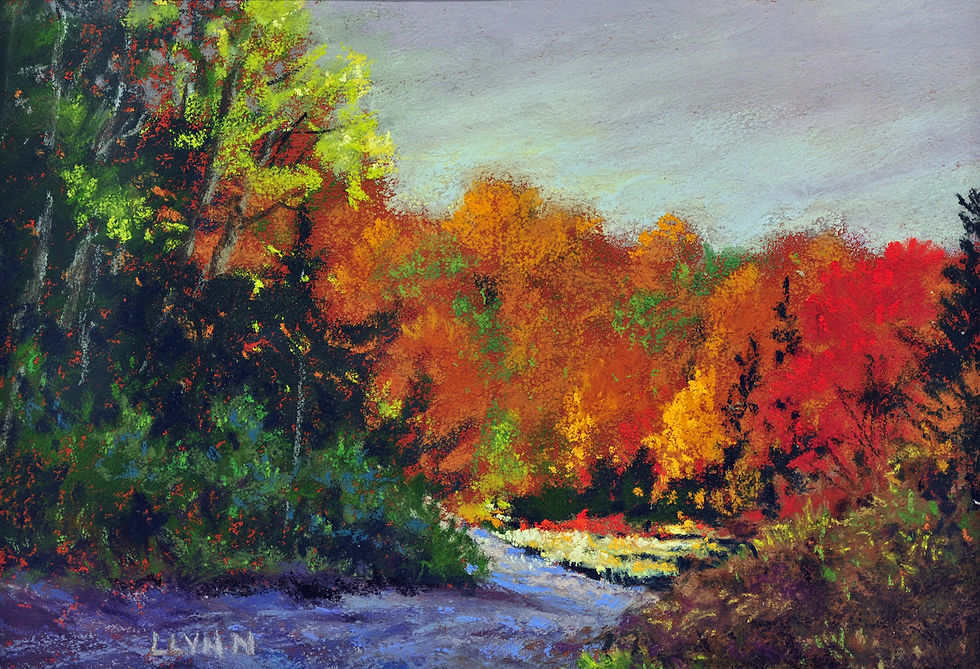 Pastel Paintings| Lynda Lynn Fine Art