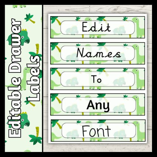 Dinosaur Drawer Labels | PrimaryResourceRack