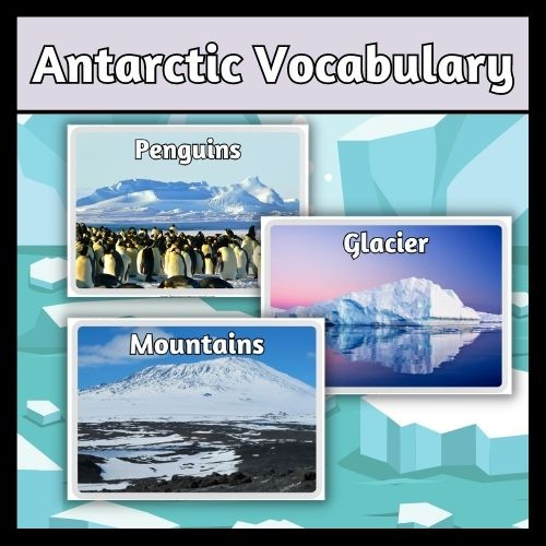 Antarctic Vocabulary Posters | PrimaryResourceRack