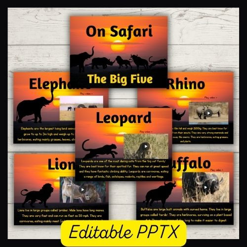 On Safari - The Big Five | PrimaryResourceRack