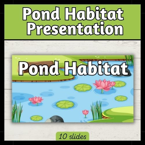 Pond Habitat Presentation | PrimaryResourceRack