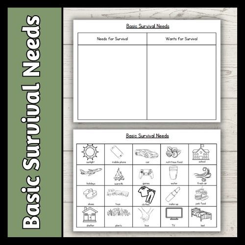 Animals Including Humans | PrimaryResourceRack