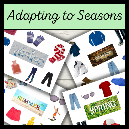 Adapting to Seasons Posters | PrimaryResourceRack