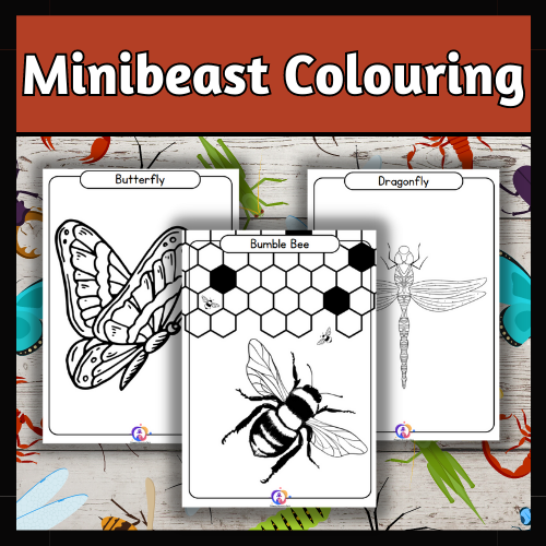 Minibeasts Colouring Pack | PrimaryResourceRack
