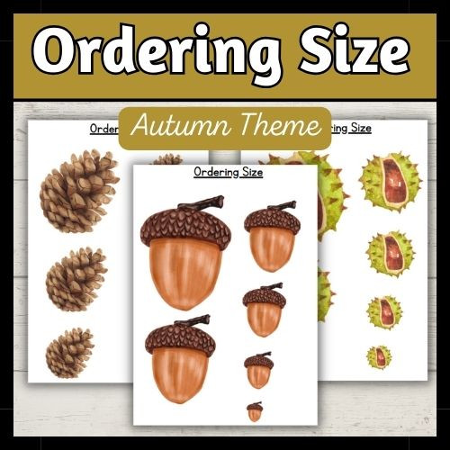 Ordering Size (Autumn theme) | PrimaryResourceRack