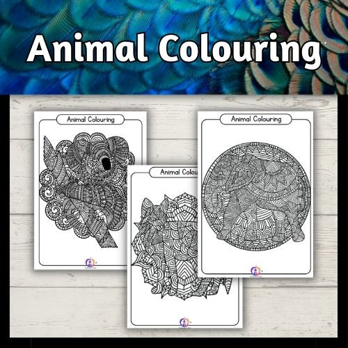 'Animal' Colouring Pack | PrimaryResourceRack