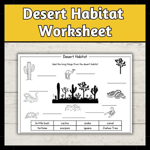 Desert Habitat Worksheet | PrimaryResourceRack
