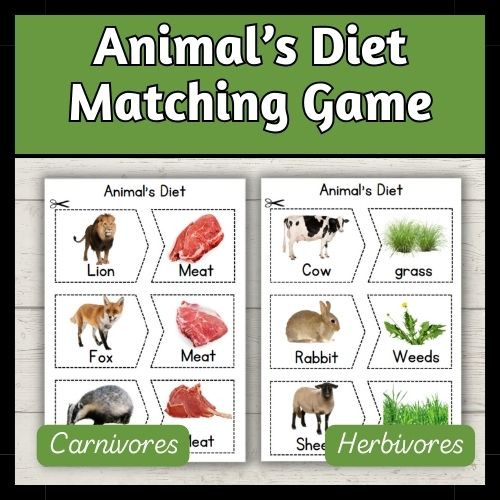 Animal's Diet Matching Game | PrimaryResourceRack