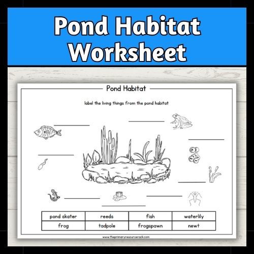 Living Things and Their Habitats | PrimaryResourceRack