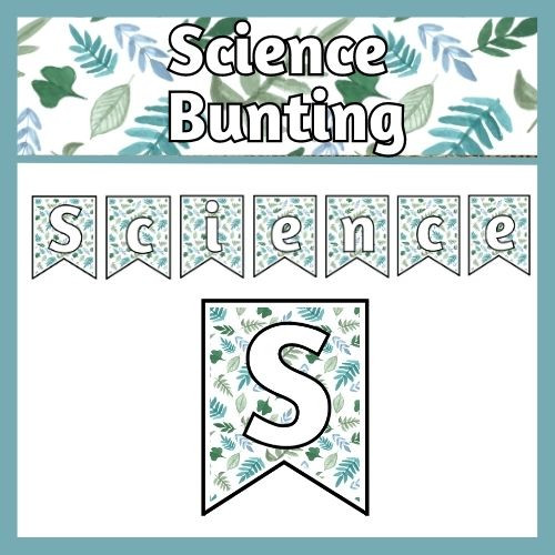 Science Botanic Display Bunting | PrimaryResourceRack