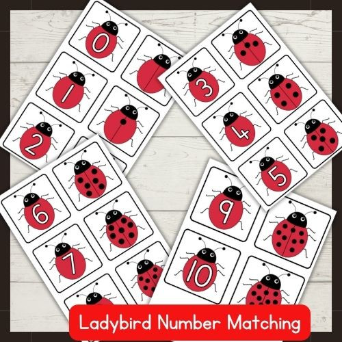 Ladybird Number Matching Game | PrimaryResourceRack
