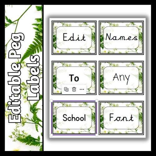 Editable Botanic Peg Labels | PrimaryResourceRack