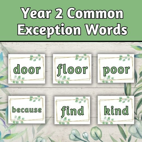Year 2 Common Exception Words Display | PrimaryResourceRack