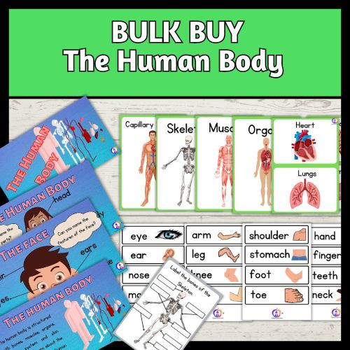 The Human Body | PrimaryResourceRack