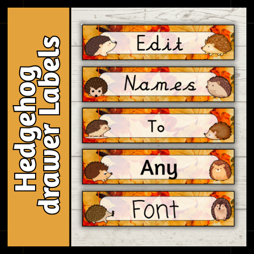 Hedgehog Drawer Labels | PrimaryResourceRack