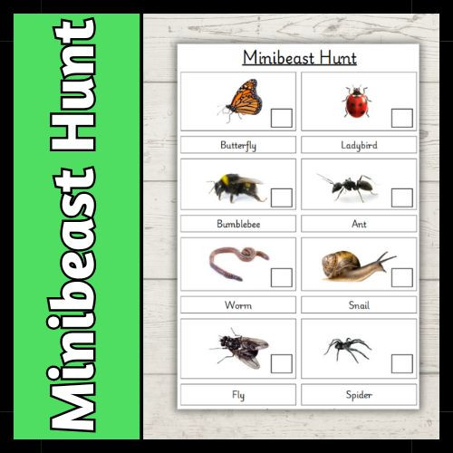 Minibeast Hunt Worksheet | PrimaryResourceRack