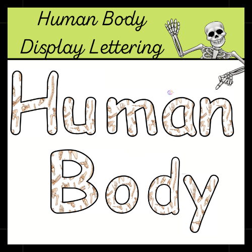 Human Body Classroom Display Lettering | PrimaryResourceRack