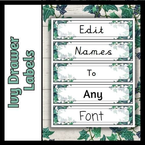 Ivy Drawer Labels | PrimaryResourceRack