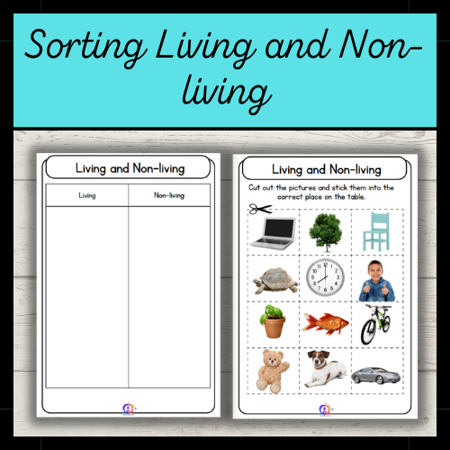 Sorting Living and Non-living | PrimaryResourceRack