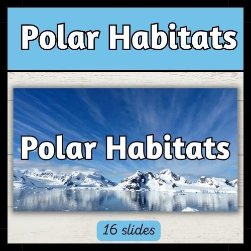 Polar Habitats Presentation | PrimaryResourceRack