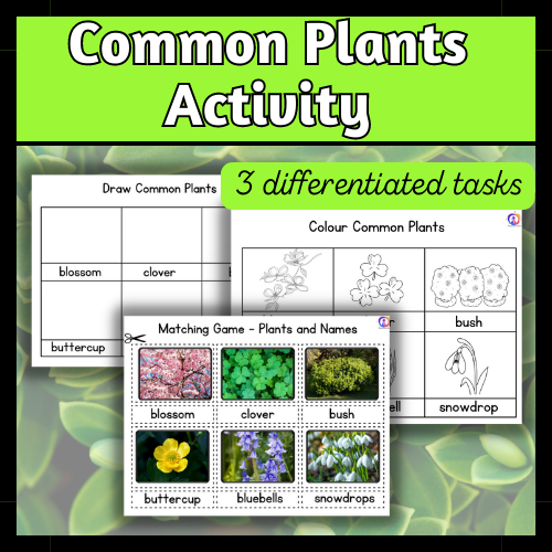 Common Plants Differentiated Activities | PrimaryResourceRack