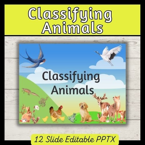 Classifying Animals Editable PowerPoint | PrimaryResourceRack