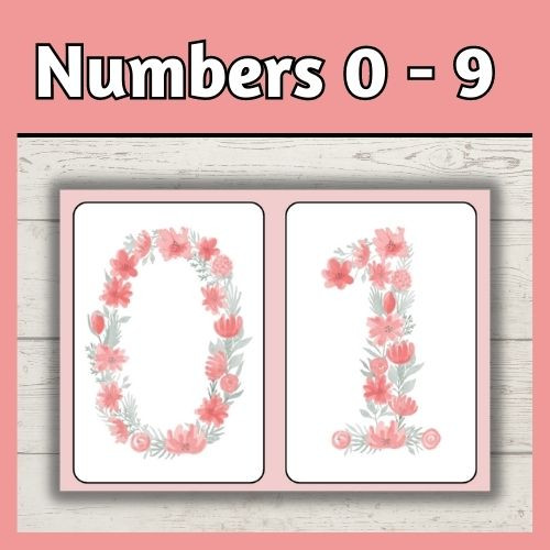 Floral Number 0 - 9 Display | PrimaryResourceRack