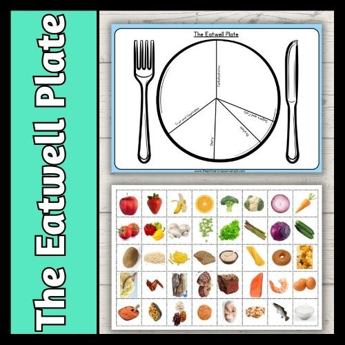 The Eatwell Plate Worksheet | PrimaryResourceRack