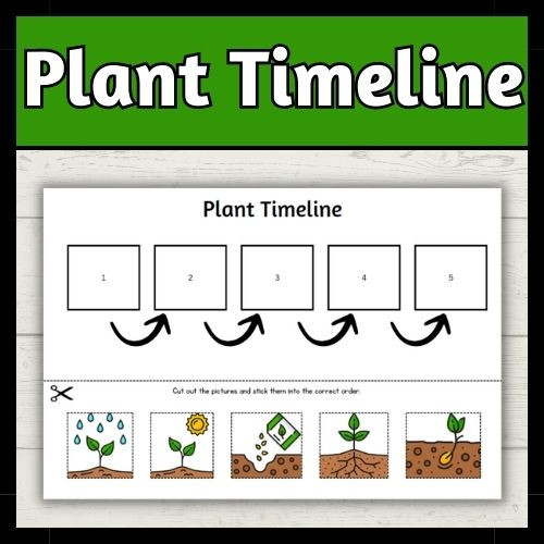 Plant Timeline | PrimaryResourceRack
