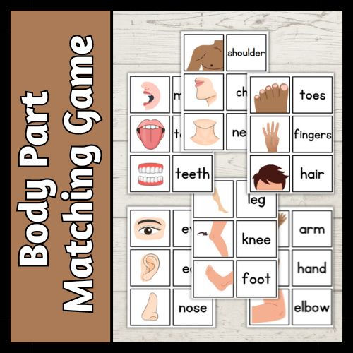 KS1 Science | PrimaryResourceRack