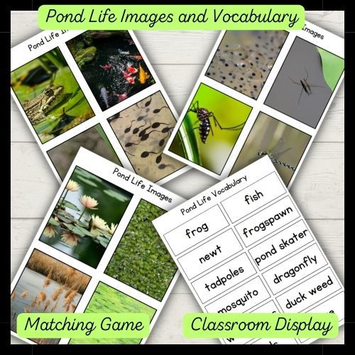 Science | PrimaryResourceRack