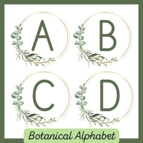 Uppercase Botanical Alphabet Display | PrimaryResourceRack