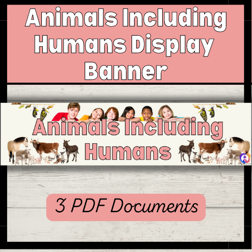 Animals Including Humans Display Banner | PrimaryResourceRack