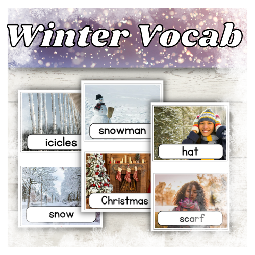 Winter Display Vocabulary | PrimaryResourceRack