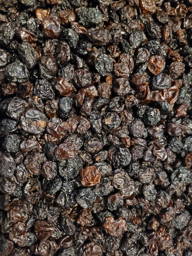 Pasas Morenas Flame | Prunus