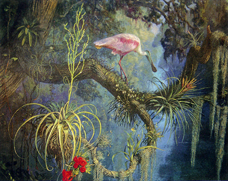 Christopher Still | Past Work | Artist