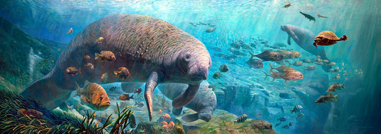 Christopher Still | FL House Of Reps | Artist