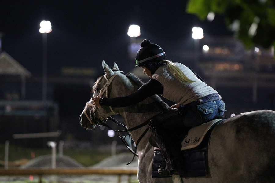 Gallery | Michael McCarthy Racing Stable