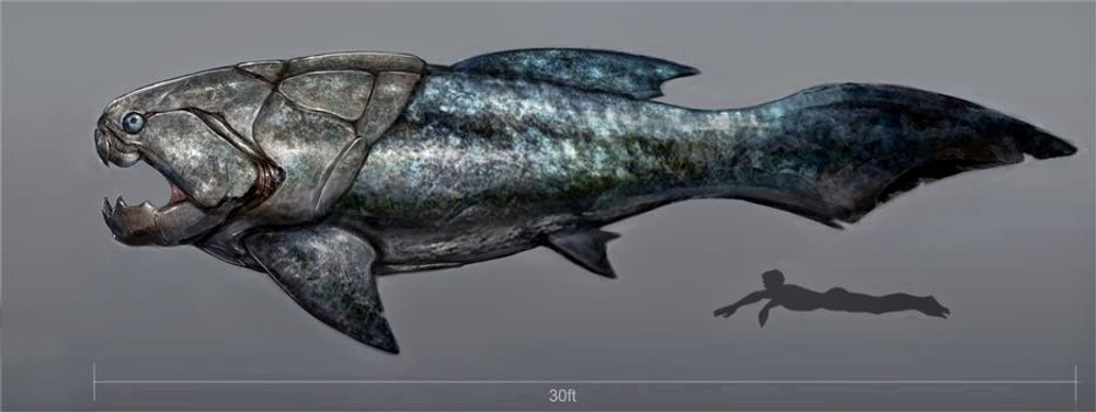 Dunkleosteus | Physical traits, Diet and rivals