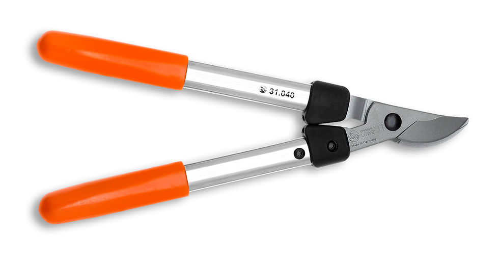 Arbor Supply | Original Lowe Pruners & Loppers | Africa