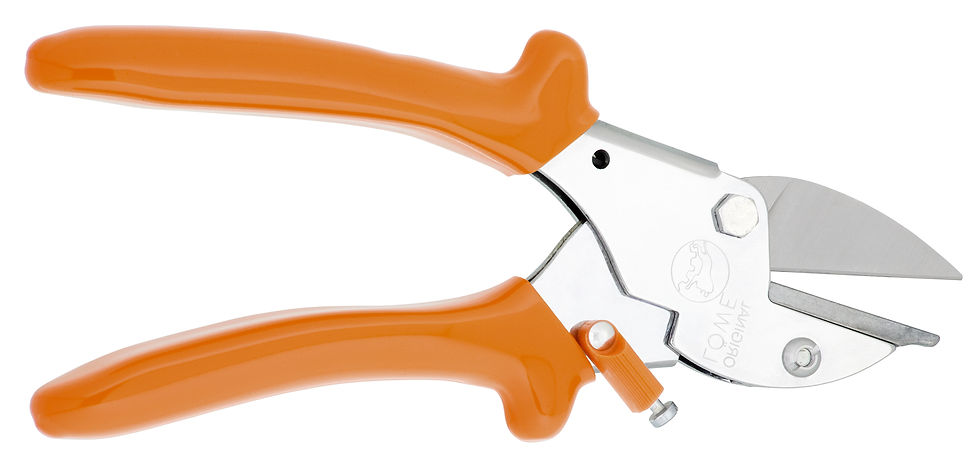 Arbor Supply | Original Lowe Pruners & Loppers | Africa