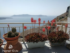 Heilpraktiker Reutlingen | Antina Springer Heilpraktikerin | Cranio