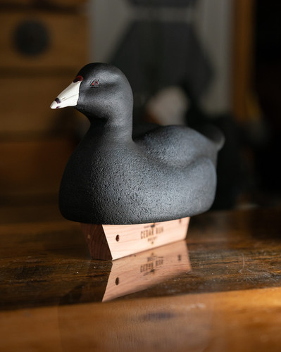 Coot Gunner Decoy | Cedar Run Decoy Co.