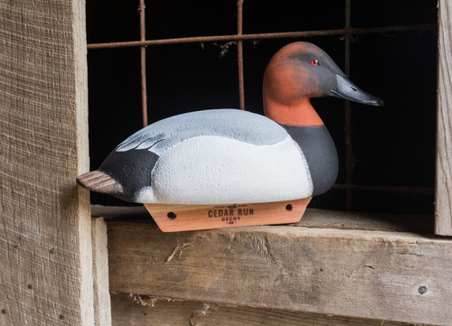 hen canvasback decoy